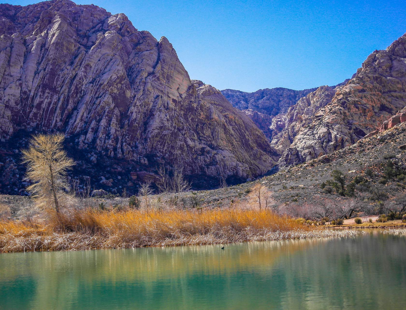 STEP LatAm 2017 alliancetrustcompany